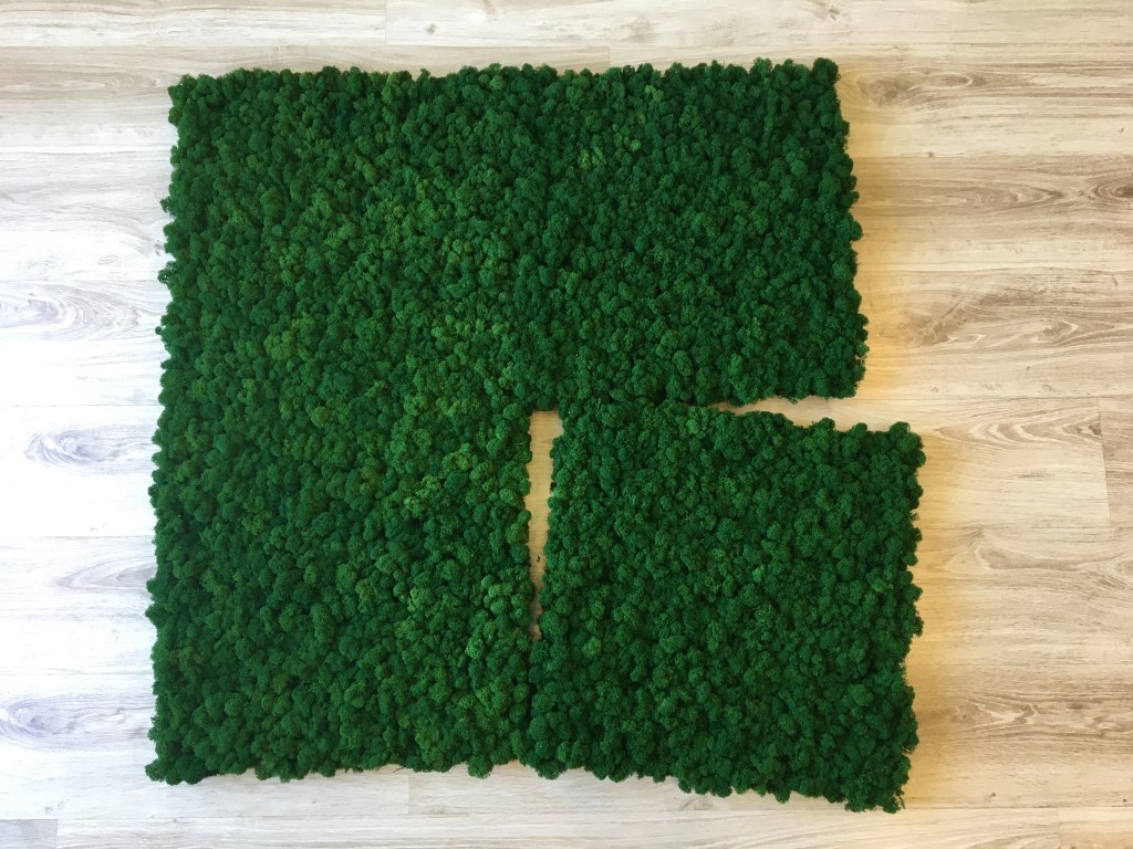 Premade PREMIUM Reindeer moss wall panel 50 x 50 cm for DIY ...